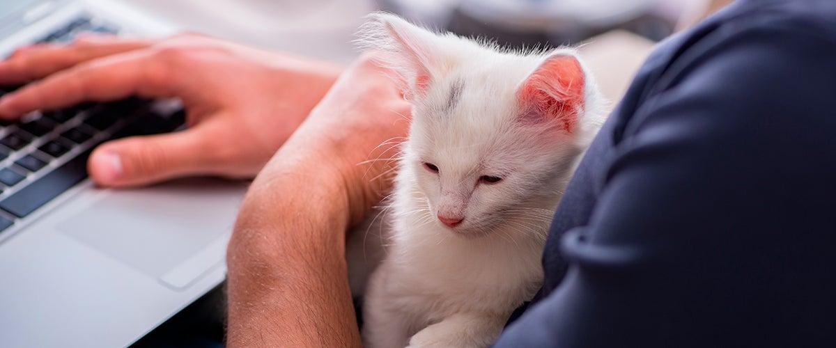 Petfinder Members